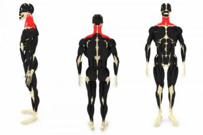 10 Ways to Help Prevent Forward Head Posture